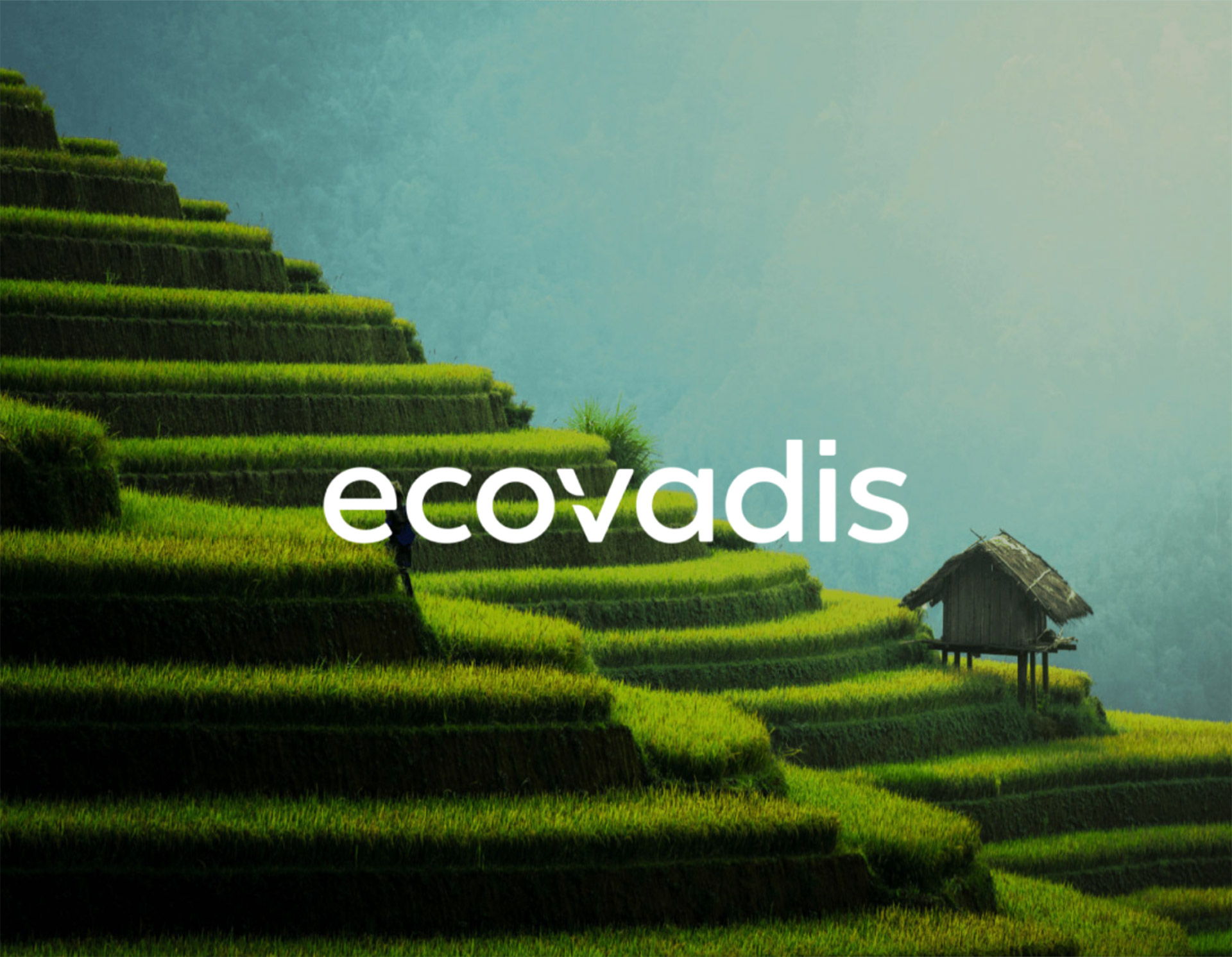 NubeX – Your partner for Cloud Neutral Platform Managed Services